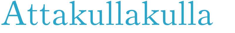 Attakullakulla - Name for Boys - Meaning, Popularity and Origin