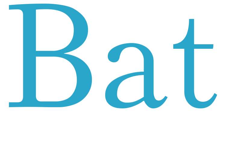 Bat - Name for Boys - Meaning, Popularity and Origin