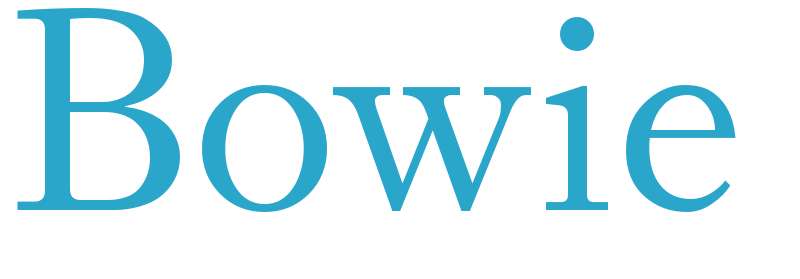 Bowie - Name for Boys - Meaning, Popularity and Origin