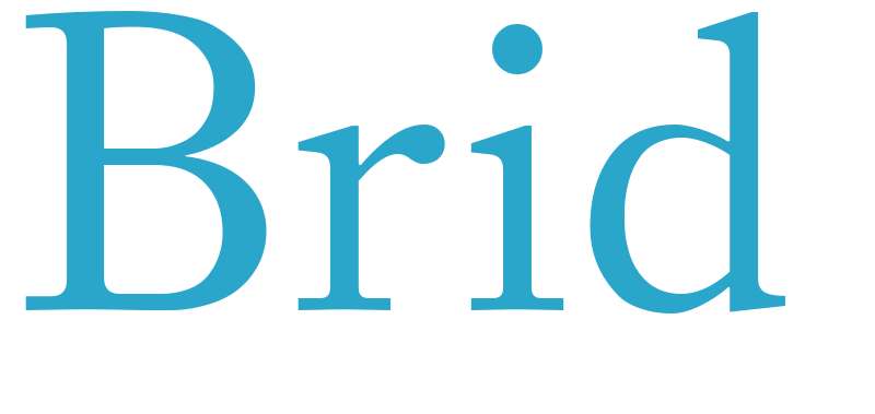 Brid - Name for Boys - Meaning, Popularity and Origin
