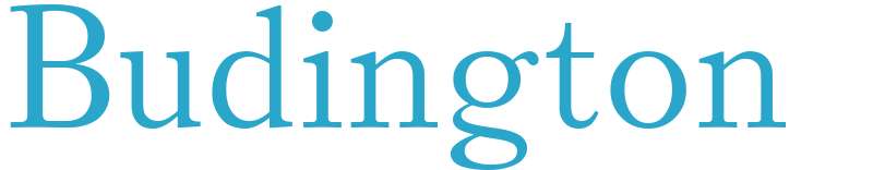 Budington - Name for Boys - Meaning, Popularity and Origin