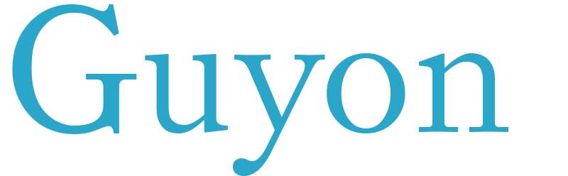 Guyon - Name for Boys - Meaning, Popularity and Origin
