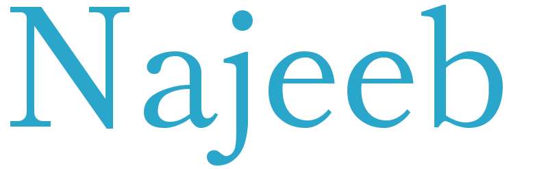Najeeb Name Logo
