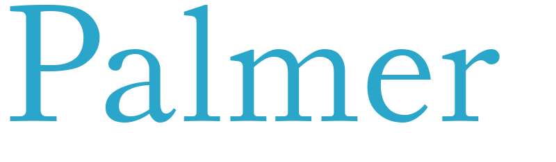 Palmer - Name for Boys - Meaning, Popularity and Origin