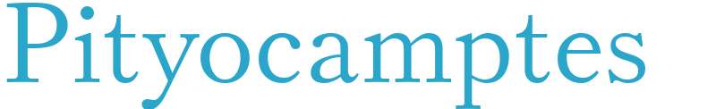Pityocamptes - Name for Boys - Meaning, Popularity and Origin