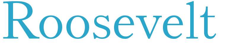 Roosevelt - Name for Boys - Meaning, Popularity and Origin