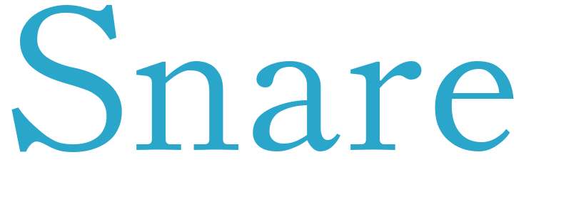 Snare - Name for Boys - Meaning, Popularity and Origin