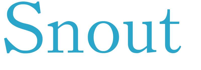 Snout - Name for Boys - Meaning, Popularity and Origin