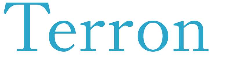 Terron - Name for Boys - Meaning, Popularity and Origin