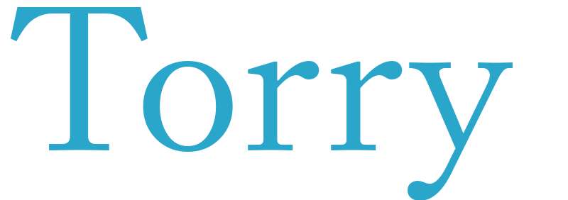 Torry - Name for Boys - Meaning, Popularity and Origin