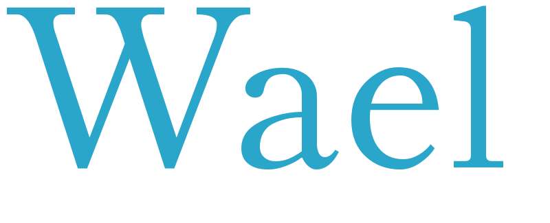 Wael - Name for Boys - Meaning, Popularity and Origin