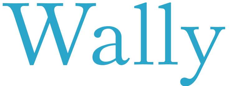 Wally - Name for Boys - Meaning, Popularity and Origin