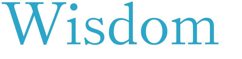 Wisdom - Name for Boys - Meaning, Popularity and Origin