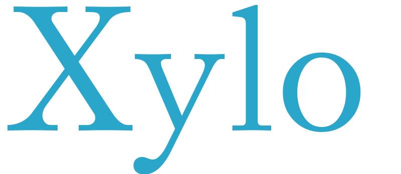 Xylo - Name for Boys - Meaning, Popularity and Origin