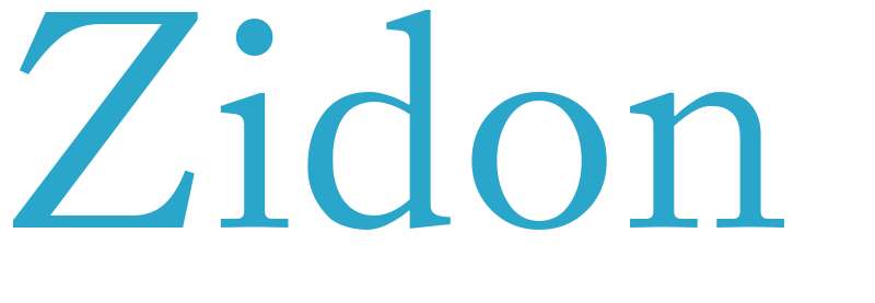 Zidon - Name for Boys - Meaning, Popularity and Origin
