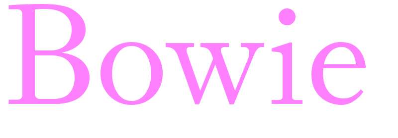 Bowie - Name for Girls - Meaning, Popularity and Origin