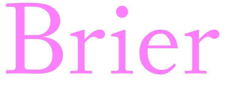 Brier - Name for Girls - Meaning, Popularity and Origin