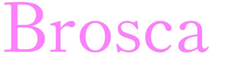 Brosca - Name for Girls - Meaning, Popularity and Origin