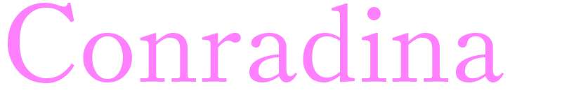 Conradina - Name for Girls - Meaning, Popularity and Origin