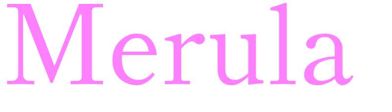Merula - Name for Girls - Meaning, Popularity and Origin