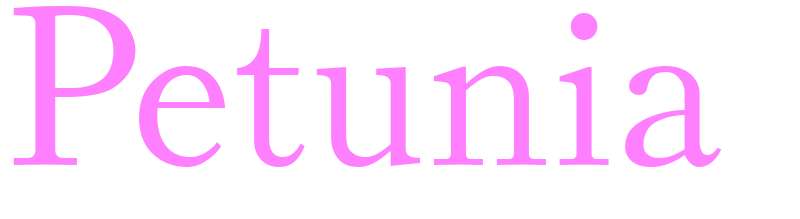 Petunia - Name for Girls - Meaning, Popularity and Origin